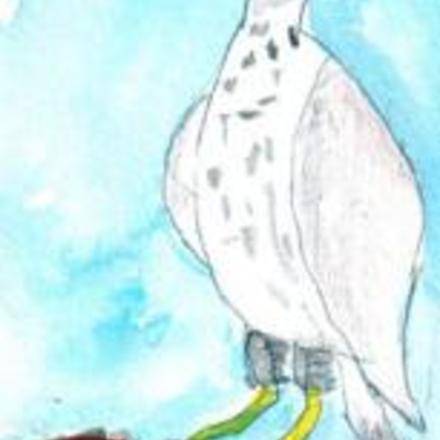 Eagle : Coloring pages, Drawing for Kids, Videos for kids, Free Online ...
