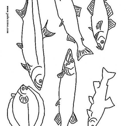 Stonefish Coloring Coloring Pages