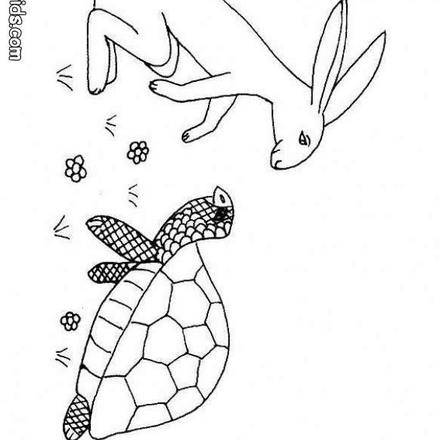 TORTOISE coloring pages - 6 free REPTILES coloring pages & online ...