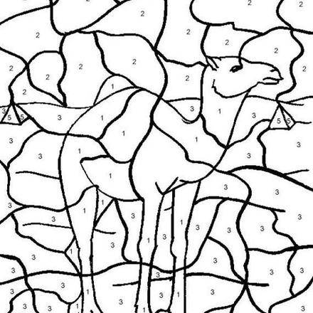 ANIMALS Color by Number coloring pages - Coloring pages - Printable ...