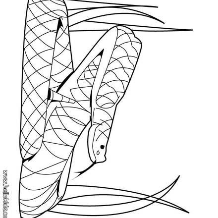 SNAKE coloring pages - 12 free REPTILES coloring pages & online ...