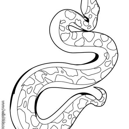 SNAKE coloring pages - 12 free REPTILES coloring pages & online ...