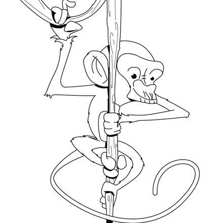 JUNGLE ANIMALS coloring pages - 23 all the Wild ANIMALS of the world ...