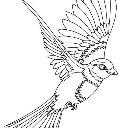 BIRD coloring pages - 90 free birds coloring pages & birds coloring ...