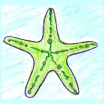 How to draw SEA ANIMALS - easy step by step drawing tips for kids