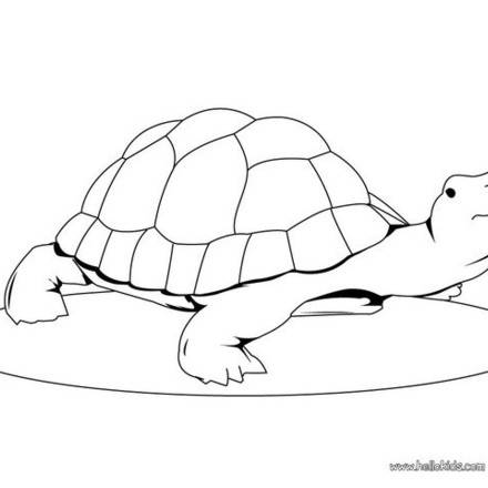 TURTLE coloring pages - 8 free REPTILES coloring pages & online ...