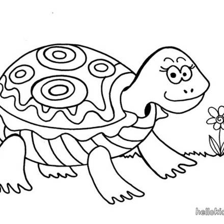 TURTLE coloring pages - 8 free REPTILES coloring pages & online ...