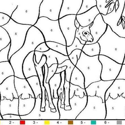 ANIMALS Color by Number coloring pages - Coloring pages - Printable ...